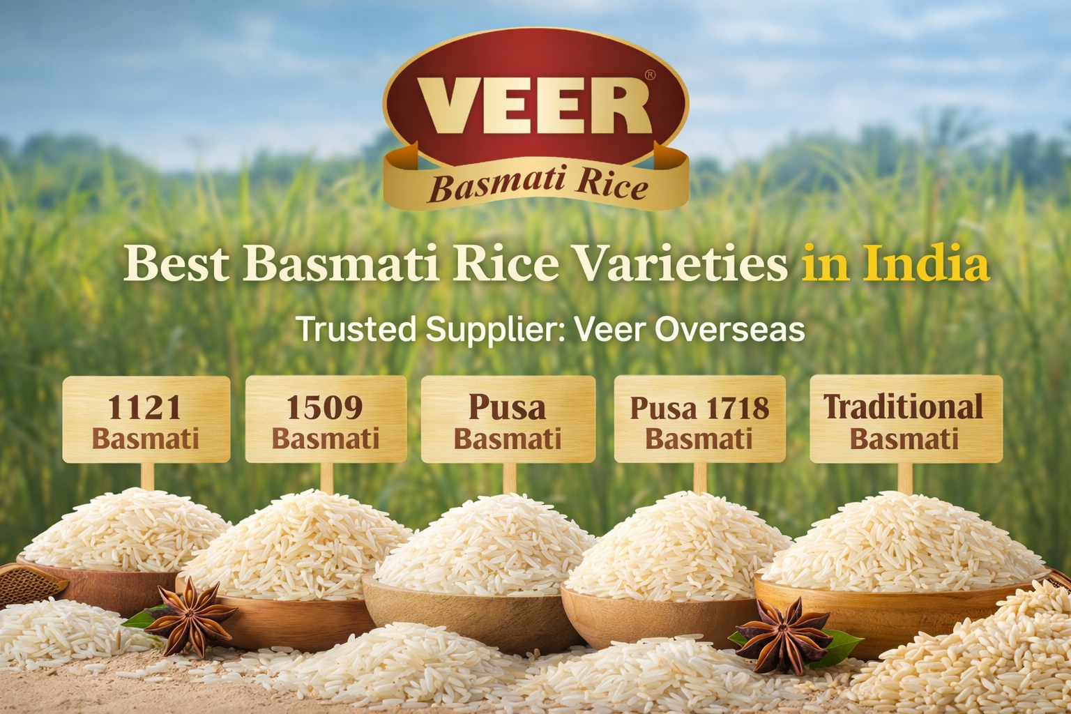 Best Basmati Rice Varieties in India (1121, 1509, Pusa)